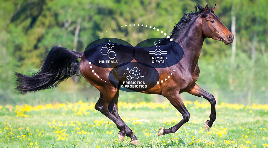 Equimix - Triple Crown Feed