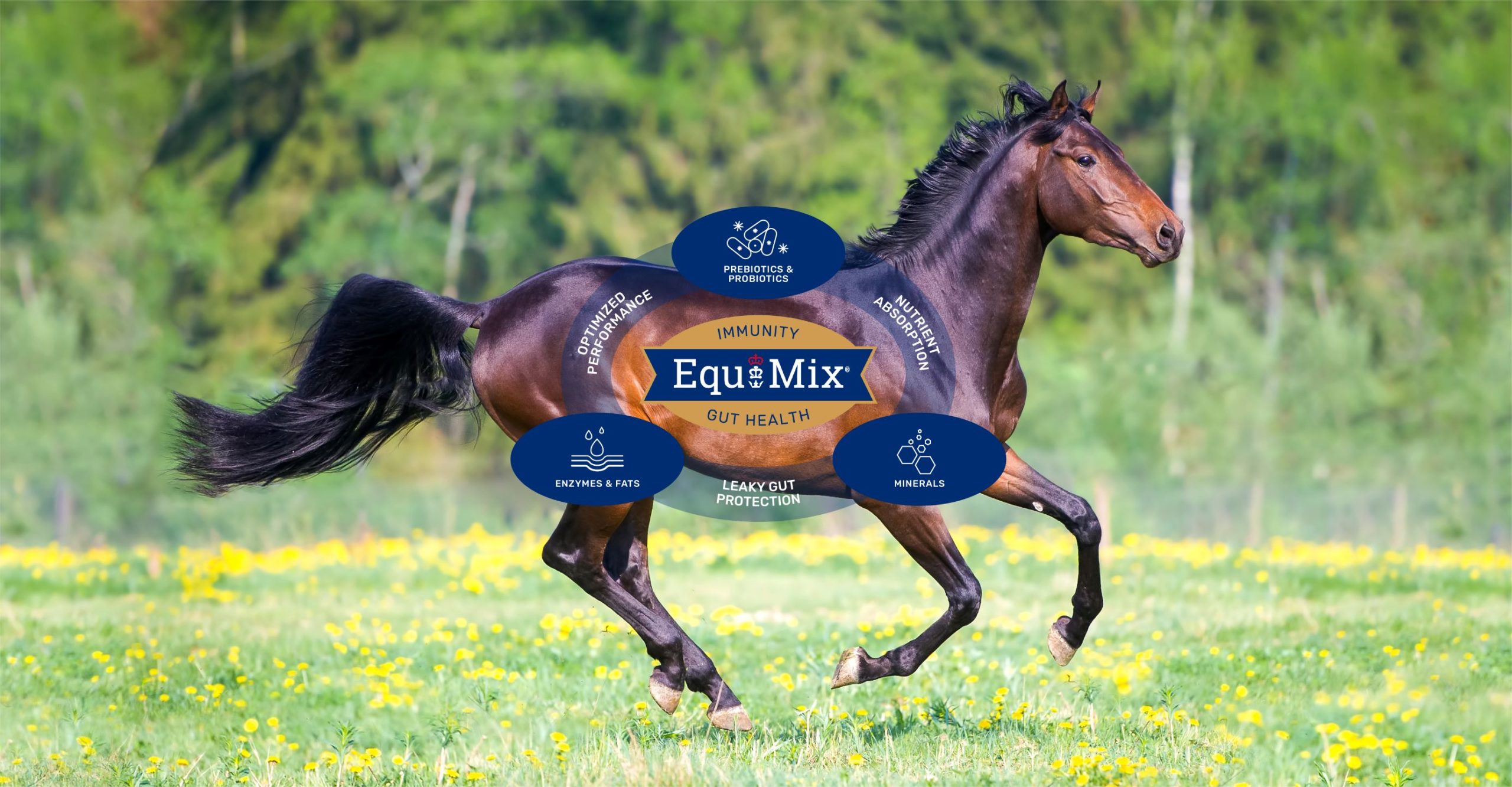 Equimix - Triple Crown Feed