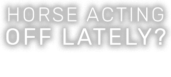 Butipearl - Triple Crown Feed