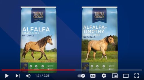 Alfalfa Forage Cubes — Naturals | Triple Crown Feed