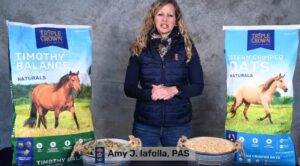 Timothy Balance® Forage Cubes — Naturals | Triple Crown Feed