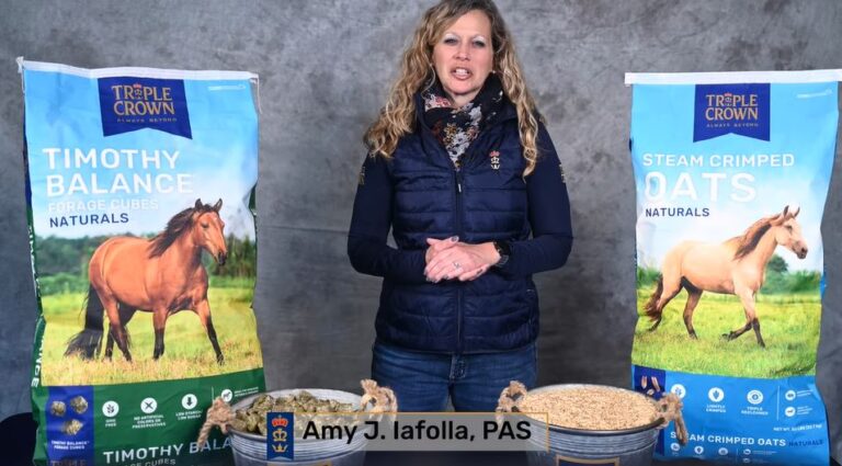 Steam Crimped Oats — Naturals | Triple Crown Feed
