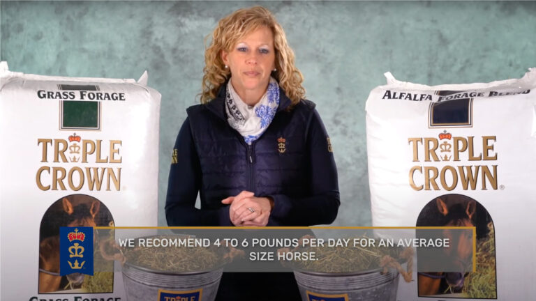 Premium Grass Forage | Triple Crown Feed