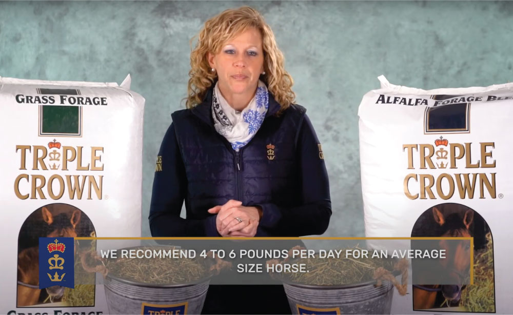 Premium Alfalfa Forage Blend | Triple Crown Feed