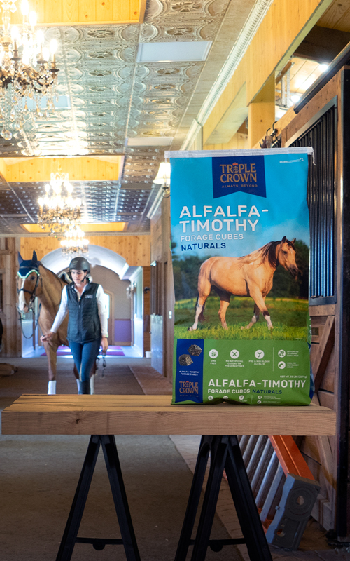 Alfalfa Forage Cubes — Naturals | Triple Crown Feed