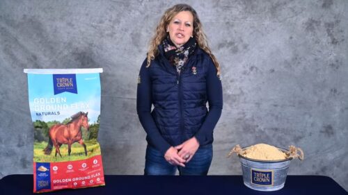Golden Ground Flax — Naturals | Triple Crown Feed