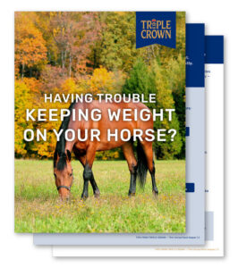 Rice Bran — Naturals | Triple Crown Feed