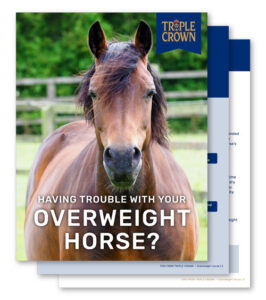 Timothy Balance® Forage Cubes — Naturals | Triple Crown Feed