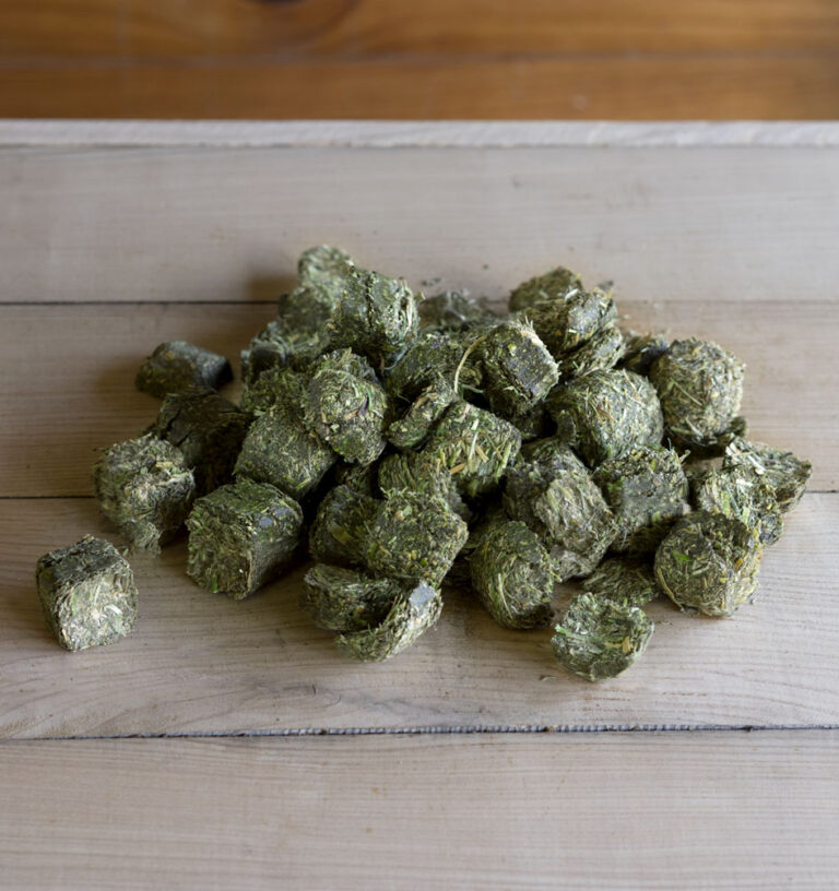 Alfalfa-Timothy Forage Cubes | Naturals | Triple Crown Feed