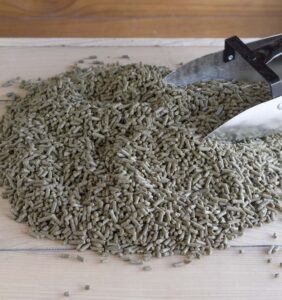 Balancer Gold | Triple Crown Feed