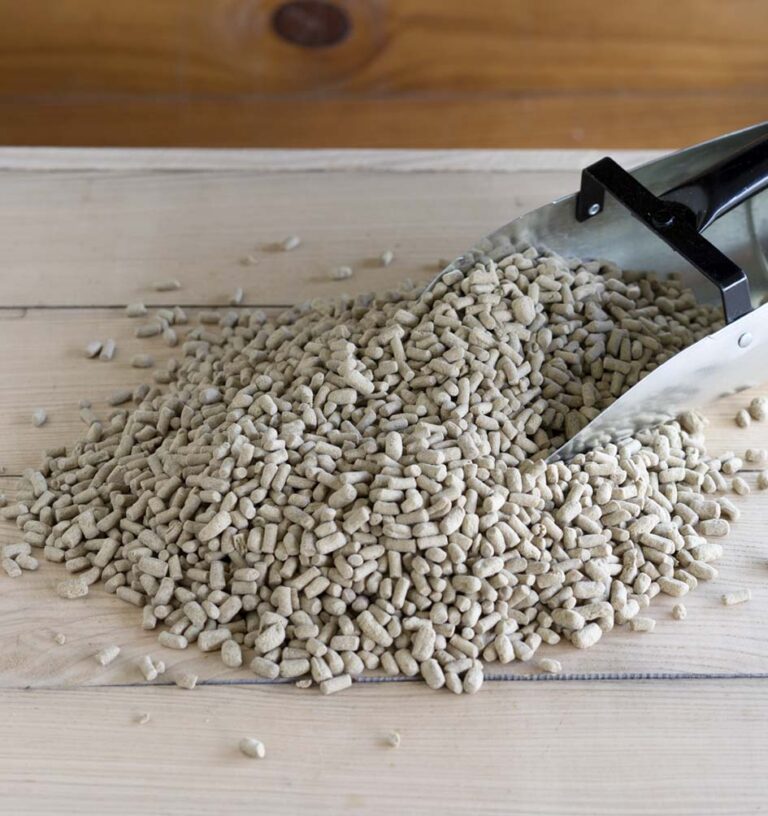 Rice Bran — Naturals | Triple Crown Feed