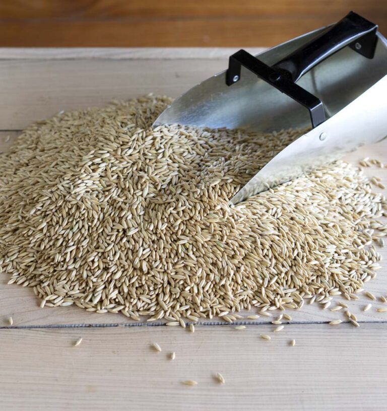 Whole Oats — Naturals | Triple Crown Feed