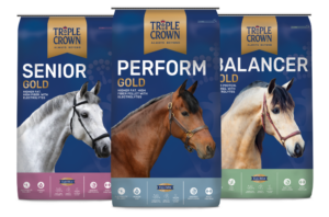 Gold - Triple Crown Feed