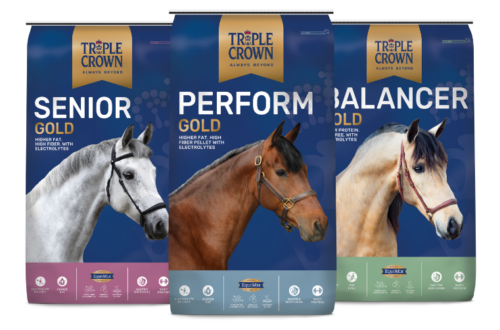 Gold - Triple Crown Feed