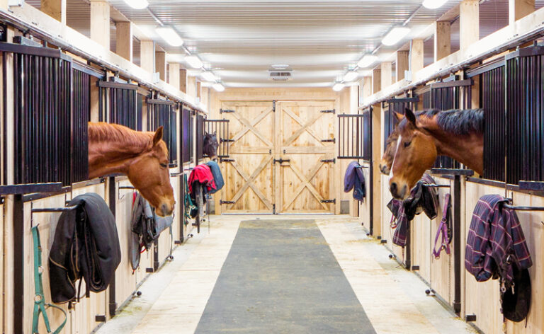 Super Premium Feeds | Triple Crown Feed