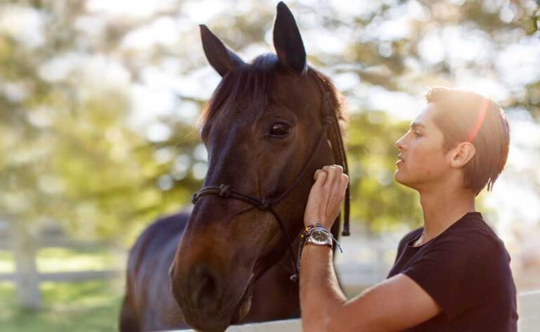 ButiPEARL - Triple Crown Feed