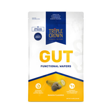 Gut Functional Wafers | Triple Crown Feed