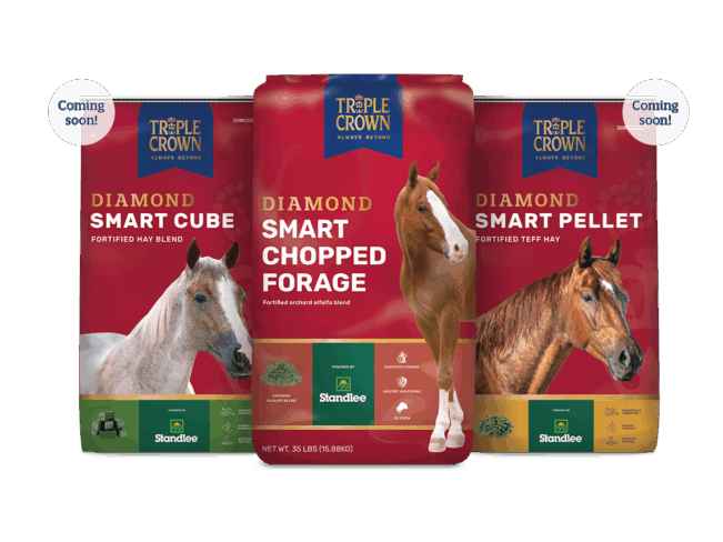 Diamond - Triple Crown Feed